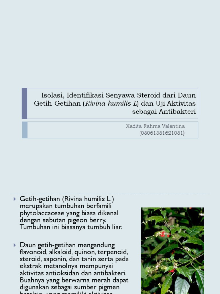 Isolasi, Identifikasi Senyawa Steroid Dari Daun Getih-Getihan | PDF
