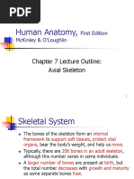 Unlabeled Axial Skeleton Overview | PDF | Skull | Skeletal System