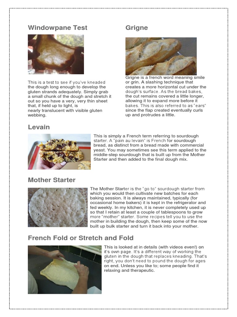 Windowpane Test Grigne: On It's Own Page | PDF | Breads | Dough
