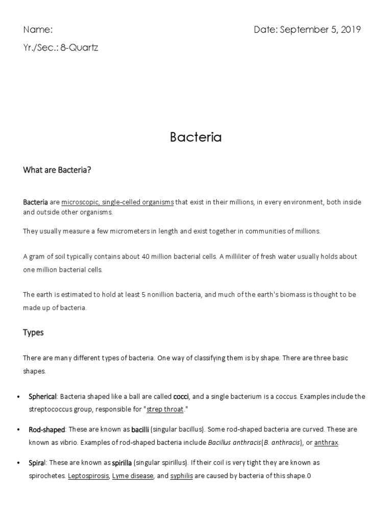 Bacteria Bahog Tae | PDF | Bacillus | Bacteria