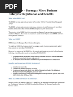 BIR S1905 - Registration Update Sheet | PDF | Taxes | Government