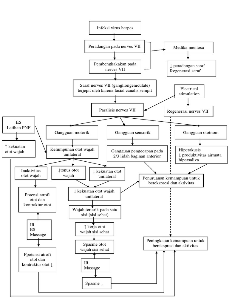 Underlying Process For Bell's Palsy (Fisioterapi) | PDF