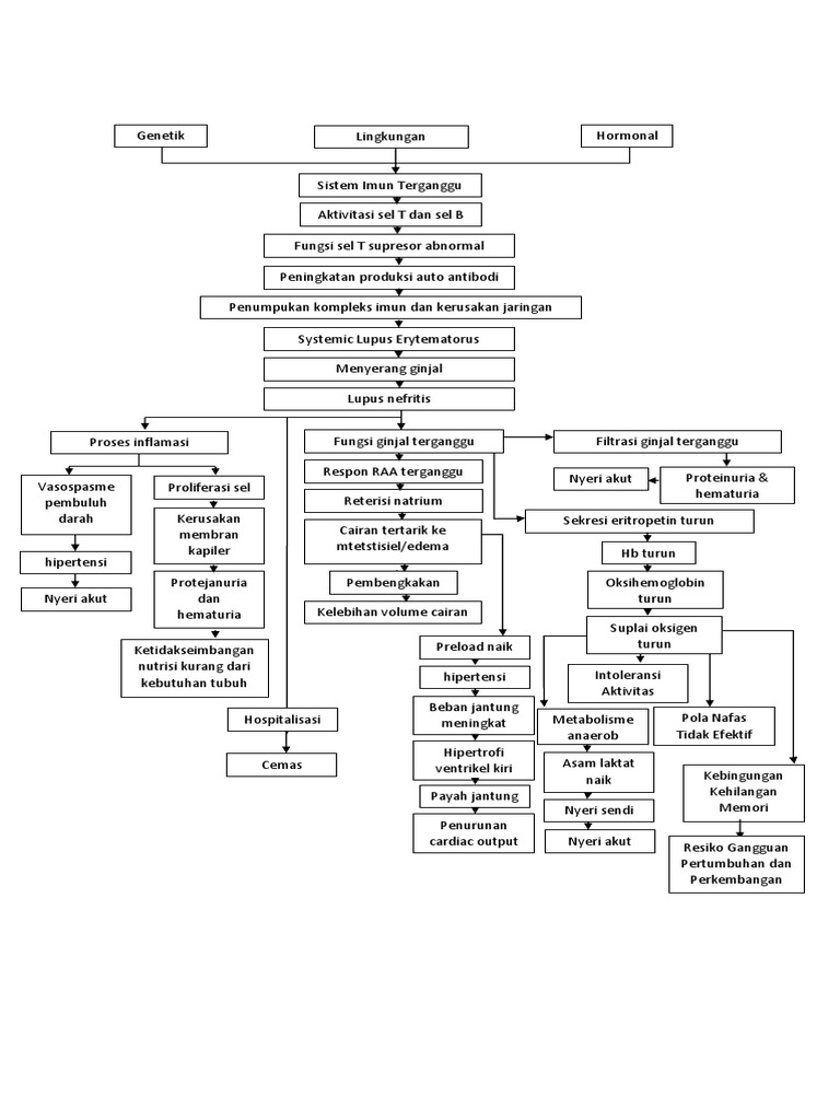 Pathway Lupus Nefritis | PDF