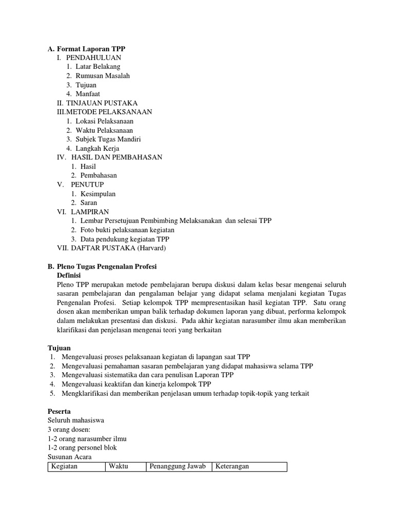 Format Laporan TPP | PDF