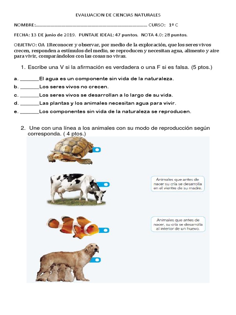 Prueba de Los Seres Vivos | PDF | Hogar, jardinería y bricolaje
