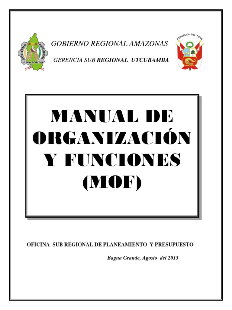 Manual De Organización Y Funciones (MOF): Gobierno Regional Amazonas | Presupuesto | Servicio Civil
