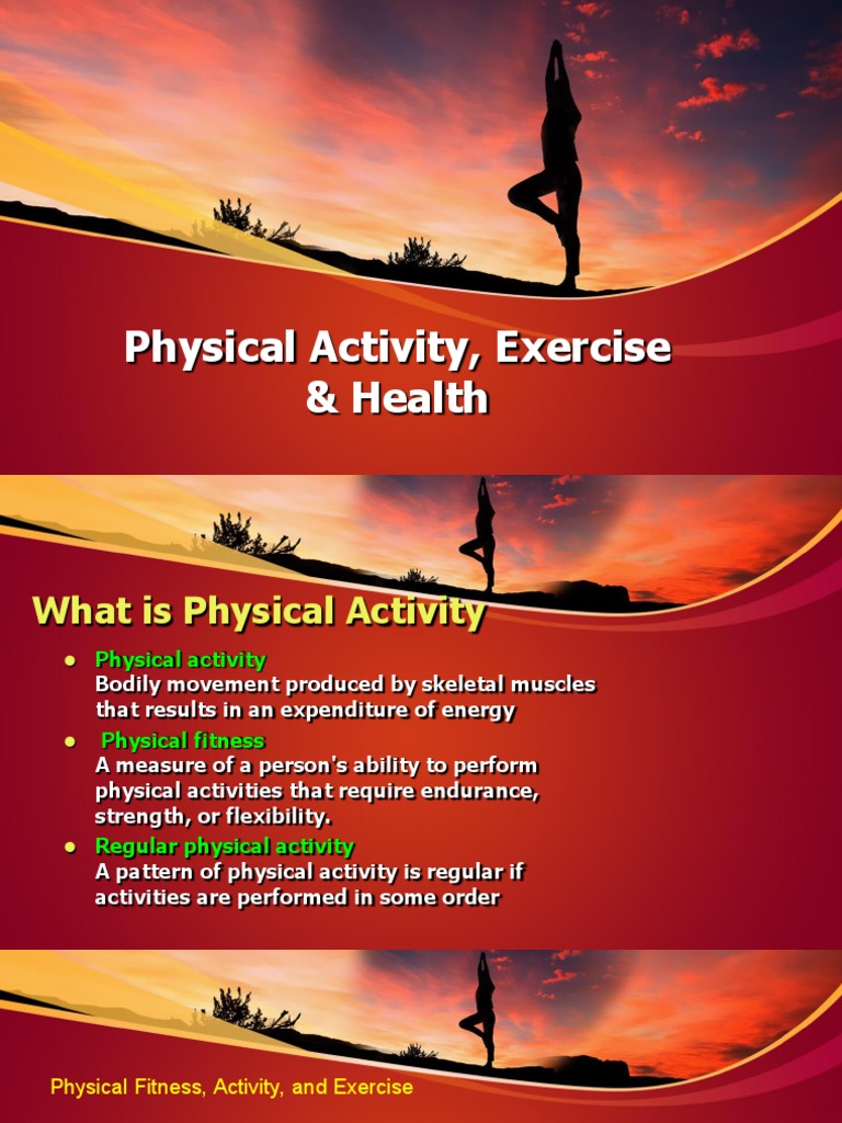 Physical Activity, Exercise & Health | PDF | Physical Fitness | Flexibility (Anatomy)