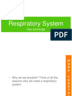 Respiratory System Worksheet | PDF | Lung | Breathing