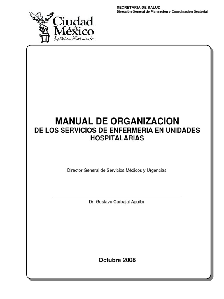 Manual de Organizacion de Enfermeria | PDF | Hospital | Enfermería
