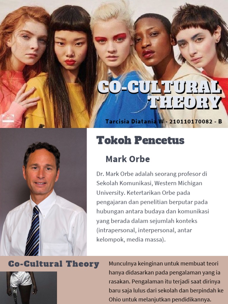 Co Cultural Theory | PDF