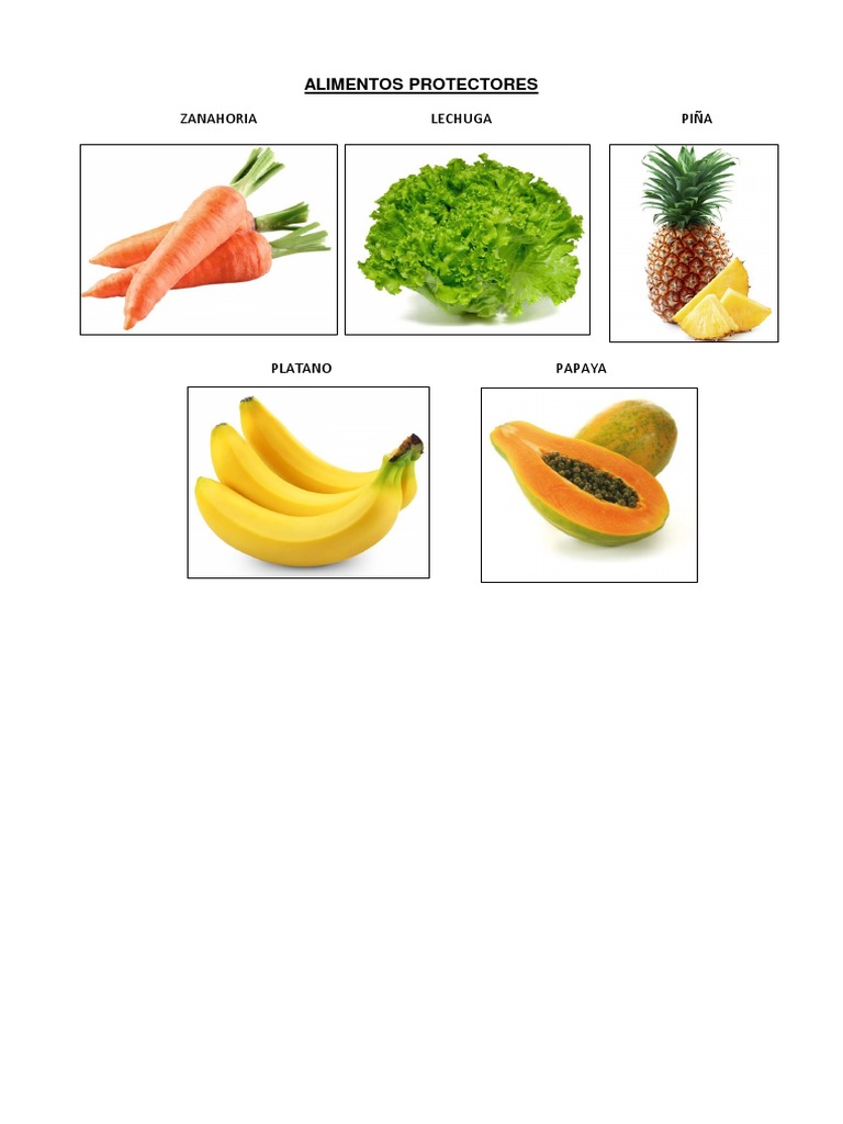 Alimentos Protectores Constructores y Energeticos | PDF