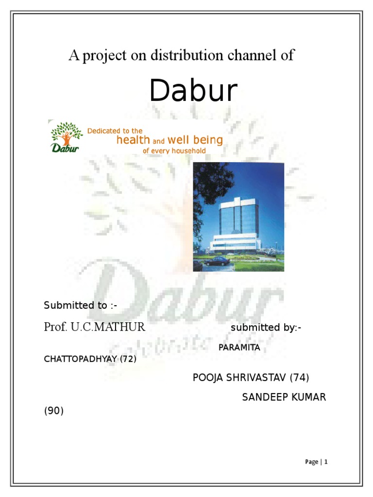 A Project On Distribution Channel of DABUR | PDF | Ayurveda ...