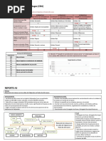Formato A3 para Mejora Continua en Excel | PDF