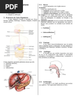 Quimo e Quilo | PDF | Digestão | Estômago