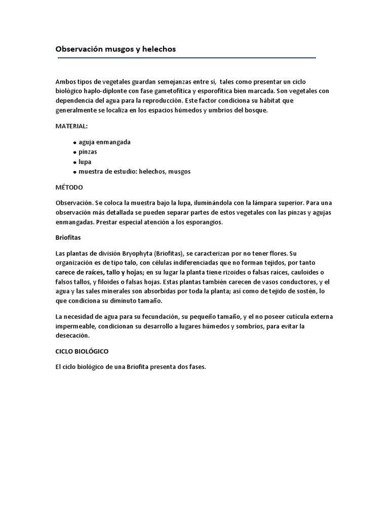 Observación Musgos y Helechos | PDF | Musgo | Plantas