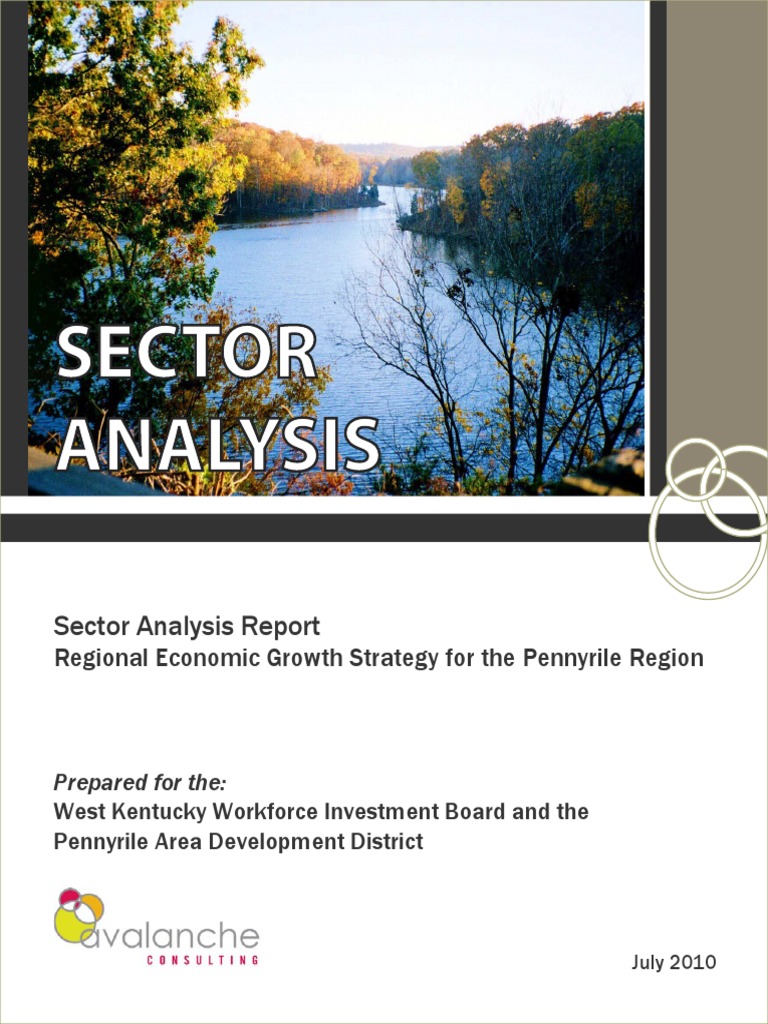 Sector Analysis Final PDF | PDF | Economic Development | Employment
