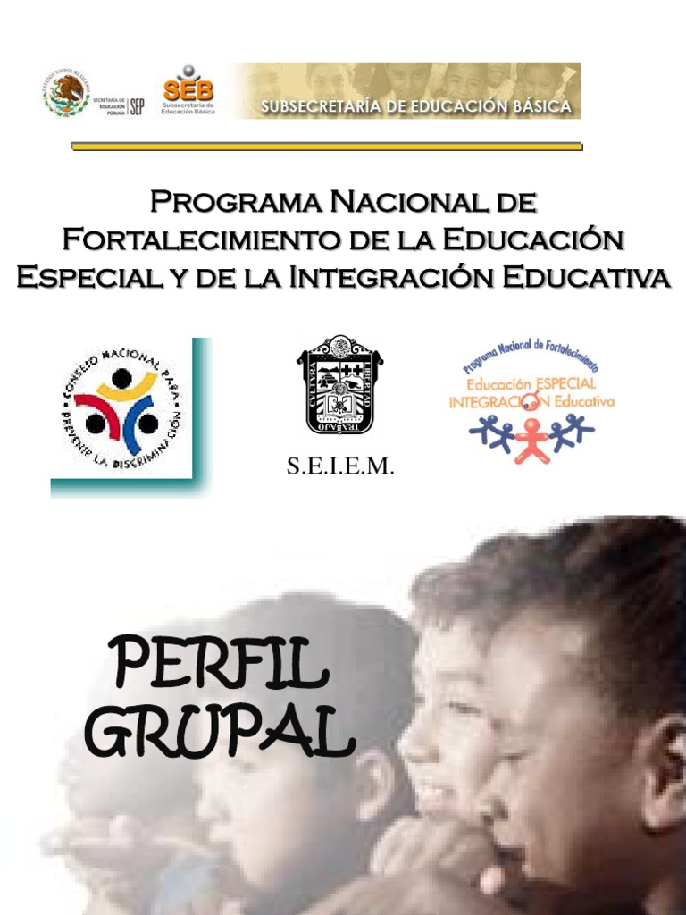 Perfil Grupal | Descargar gratis PDF | Aprendizaje | Educación primaria