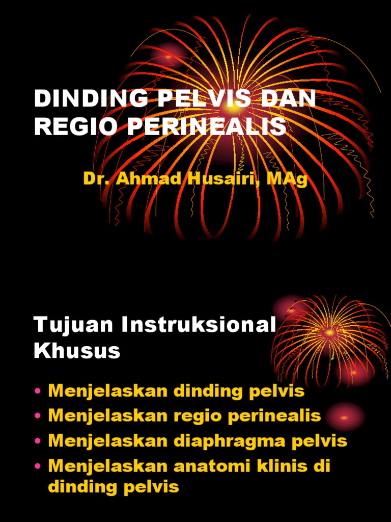 Anatomi Regio Perinealis Pria | PDF