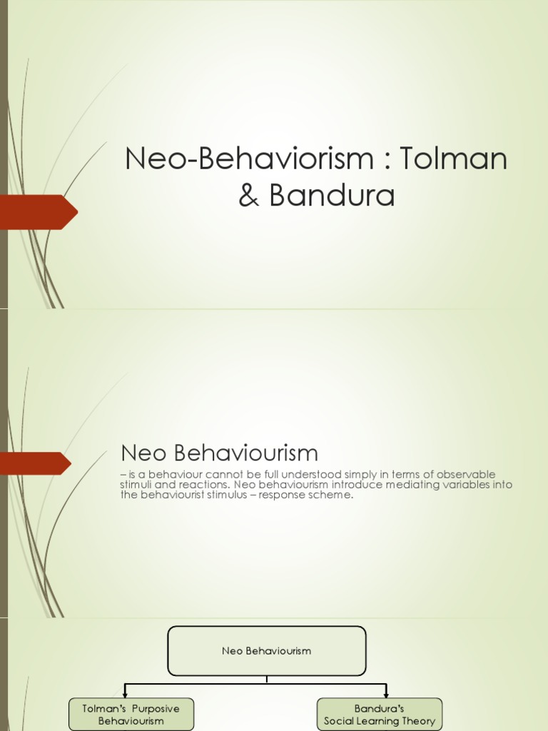 Facilitating of Learning Report | PDF | Behaviorism | Reinforcement