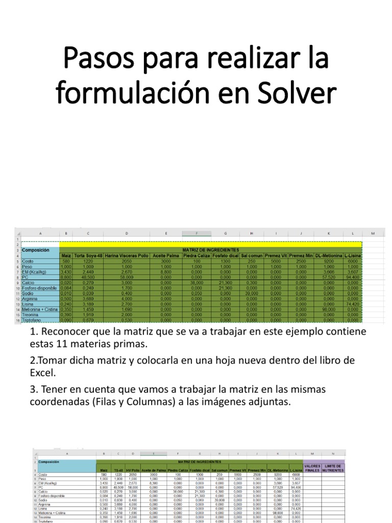 Formulación de raciones animales mediante el uso de Solver en Excel | PDF | Matriz (Matemáticas ...