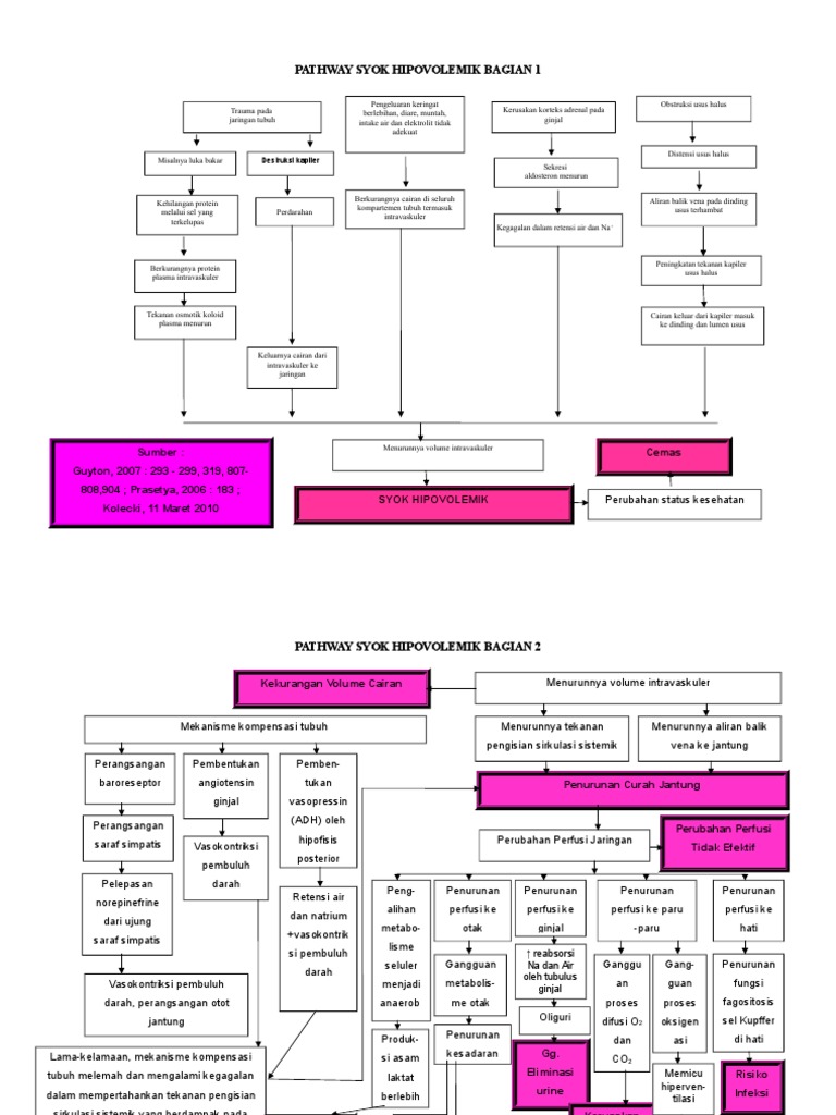 Pathway Syok Hipovolemik Intensif | PDF