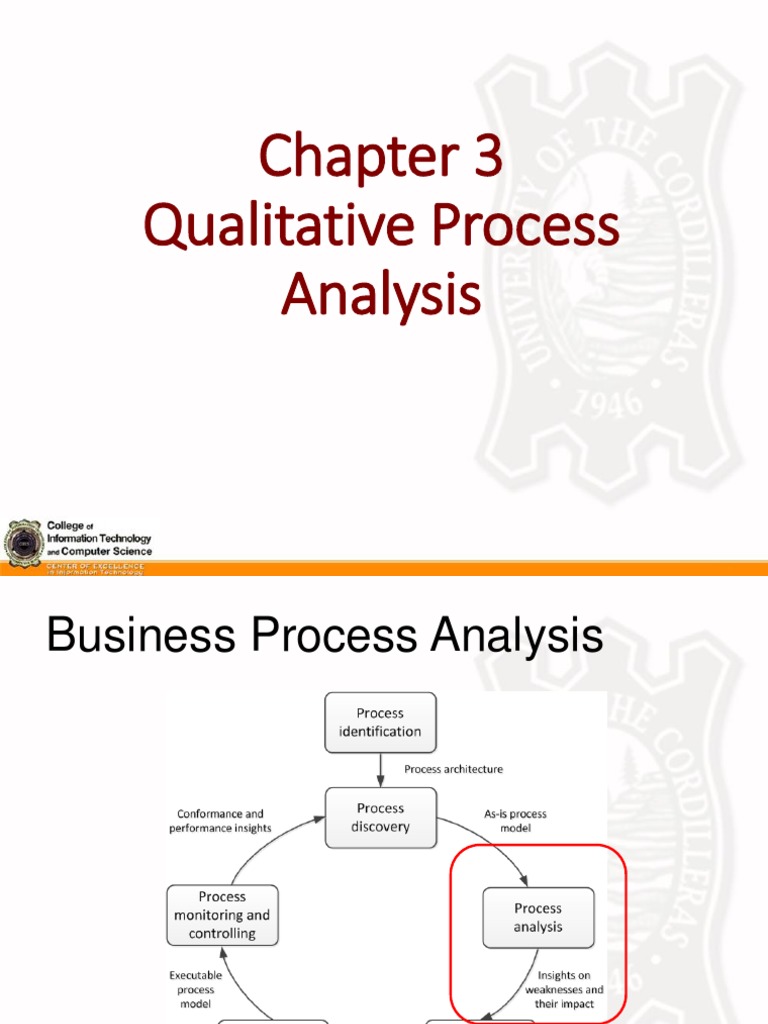 Chapter 3 Qualitative Process Analysis | PDF | Business Process | Business