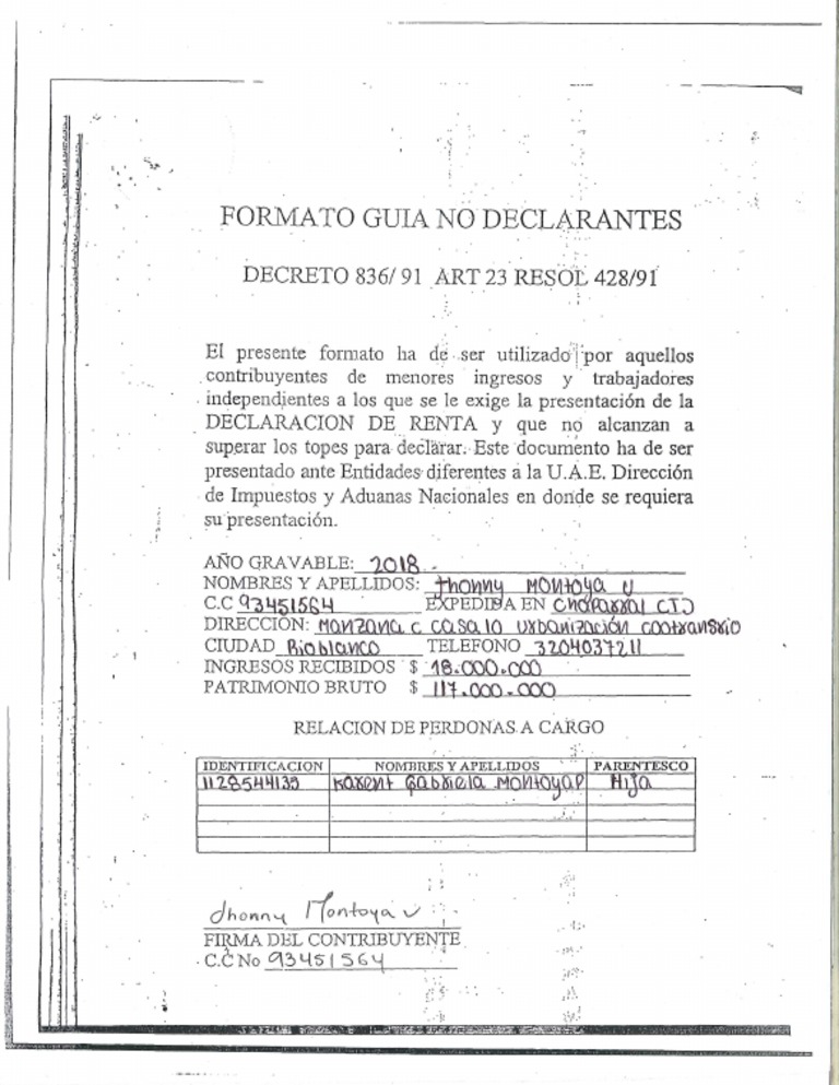 Formato de Declarante | PDF