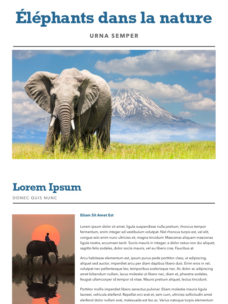 Éléphants Dans La Nature: Urna Semper | PDF
