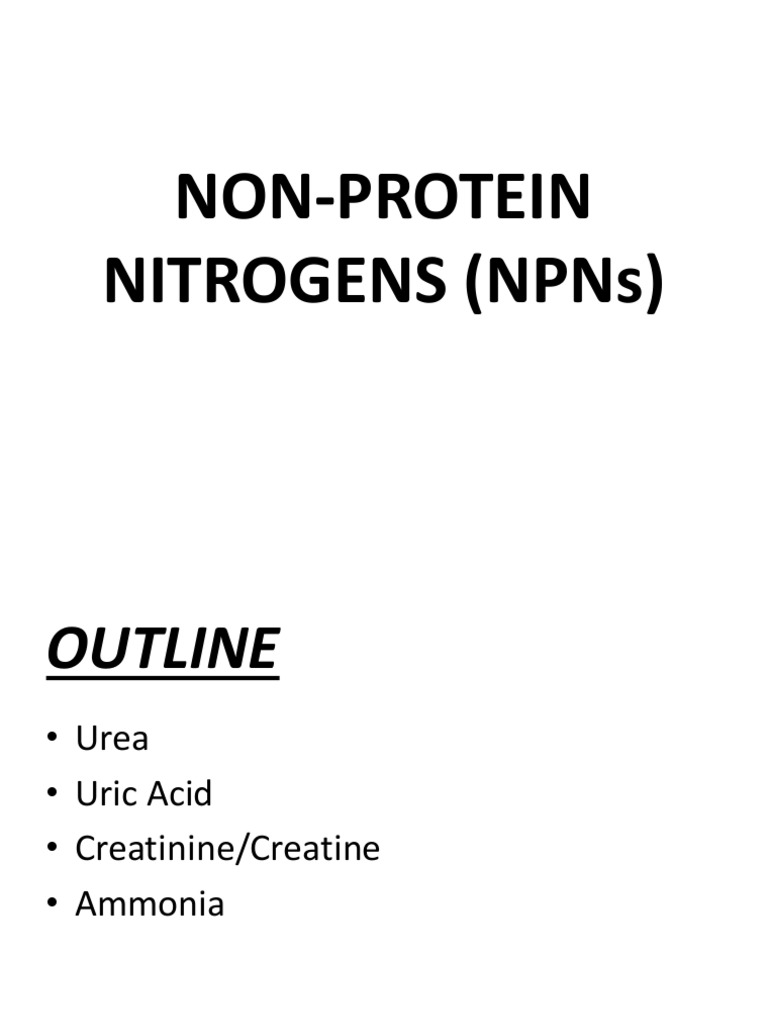 Non Protein Compounds | PDF | Renal Function | Creatinine