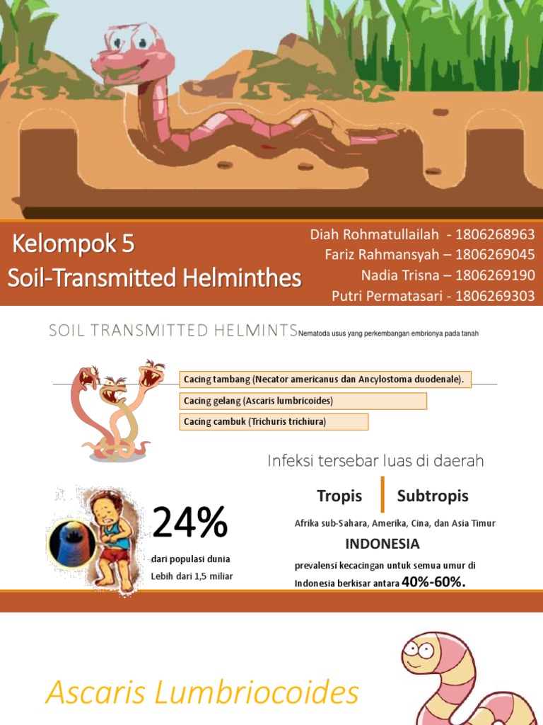 Biomedik - Soil Transmitted Helminths | PDF