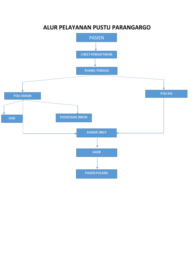 Alur Pelayanan Pustu Parangargo | PDF
