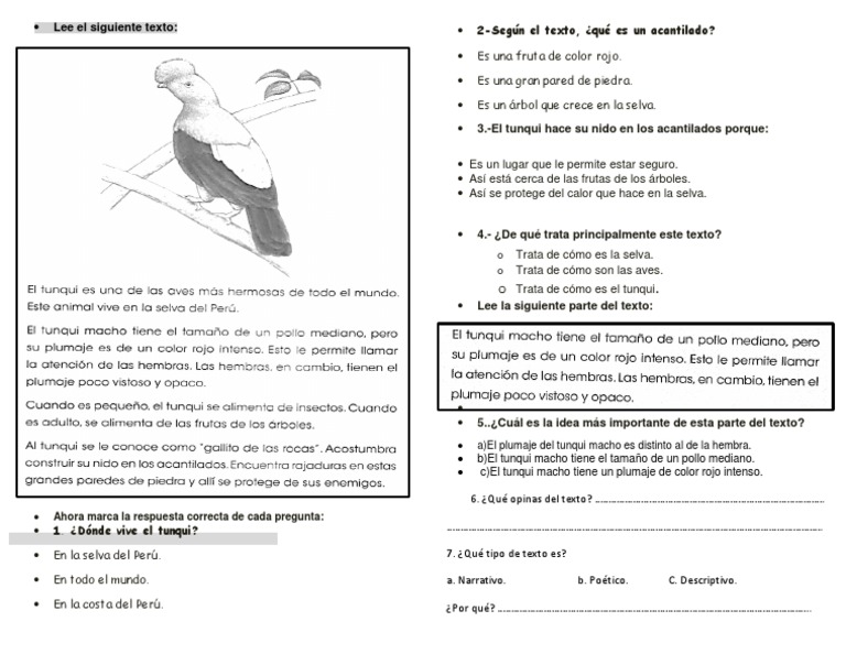 El Tunqui | PDF | Aves | Paravianos