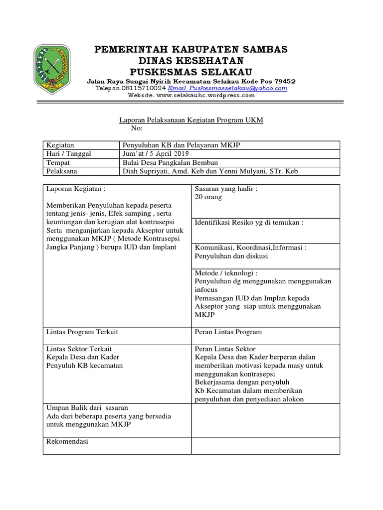 Laporan Pelaksanaan Kegiatan Program UKM | PDF