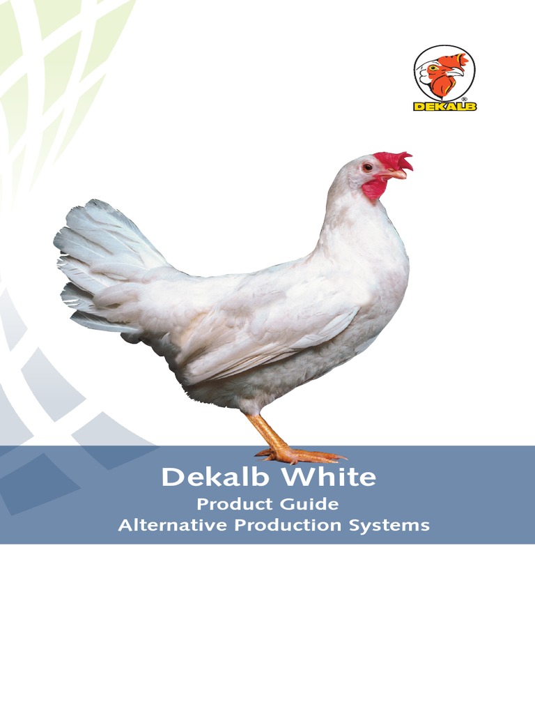 Dekalb White: Product Guide Alternative Production Systems | PDF ...