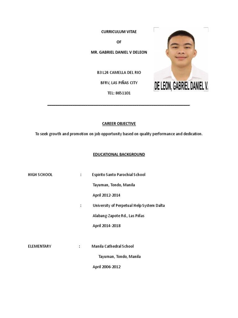 CV GABRIEL DELEON | PDF
