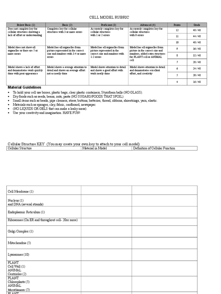 Cell Model Rubric: Material Guidelines | PDF | Endoplasmic Reticulum ...