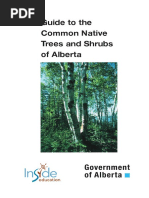 Common Native Trees & Shrubs of Alberta | PDF | Leaf | Plants