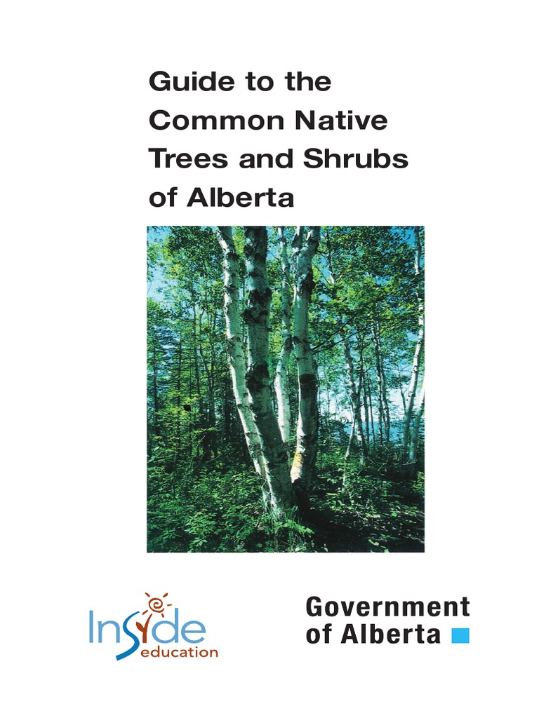 Alberta (N.D.) Guide To The Common Native Trees and Shrubs of Alberta ...