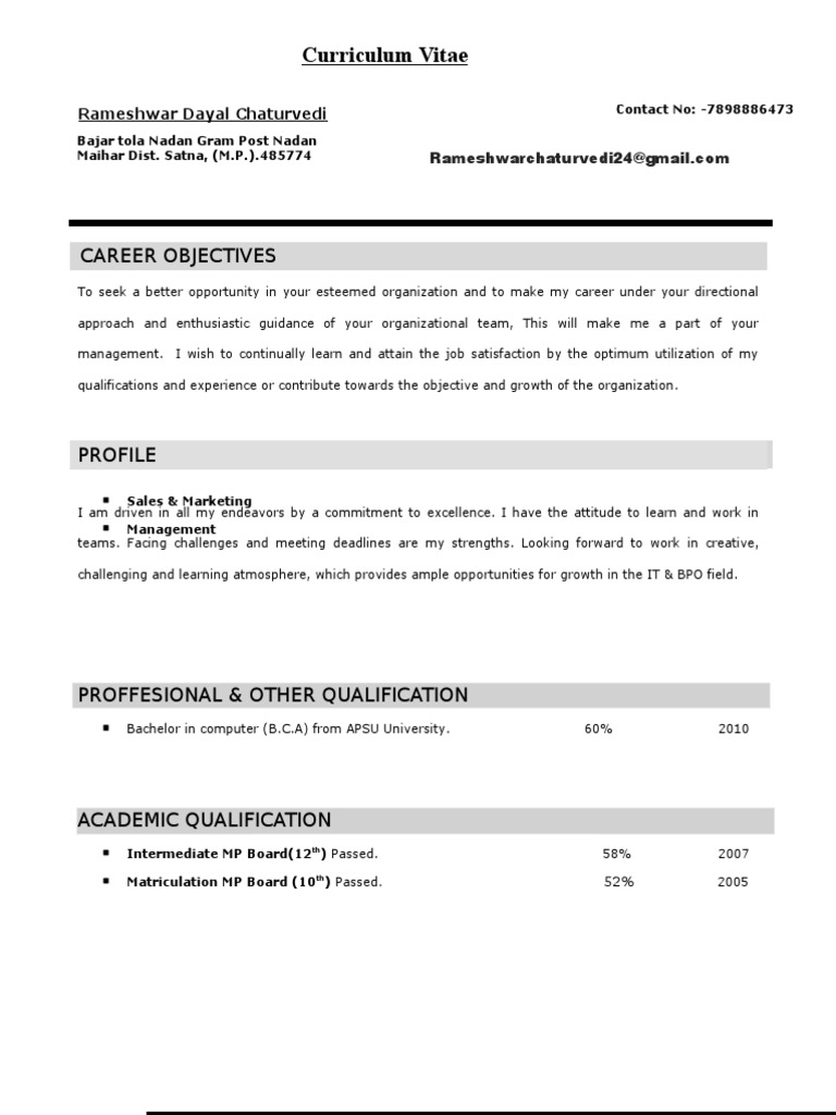 Curriculum Vitae: Career Objectives | PDF | System Software | Microsoft