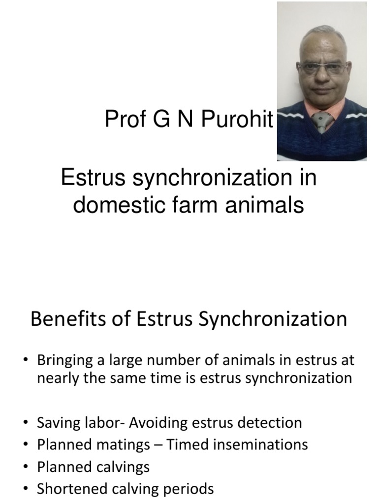 Lecture 6 Esstrus Synchronization Pdf Endocrine System Sexual Reproduction
