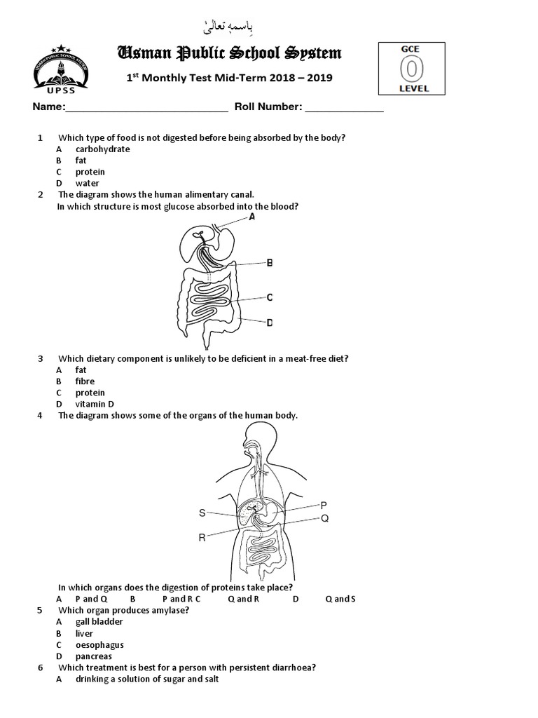 Ix Biology Worksheet Nutrition in Mammals 1 | PDF | Digestion ...