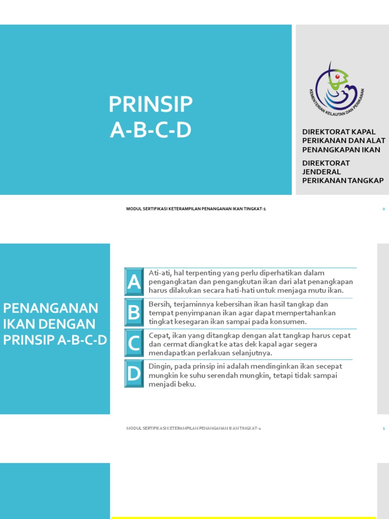 Prinsip Abcd | PDF