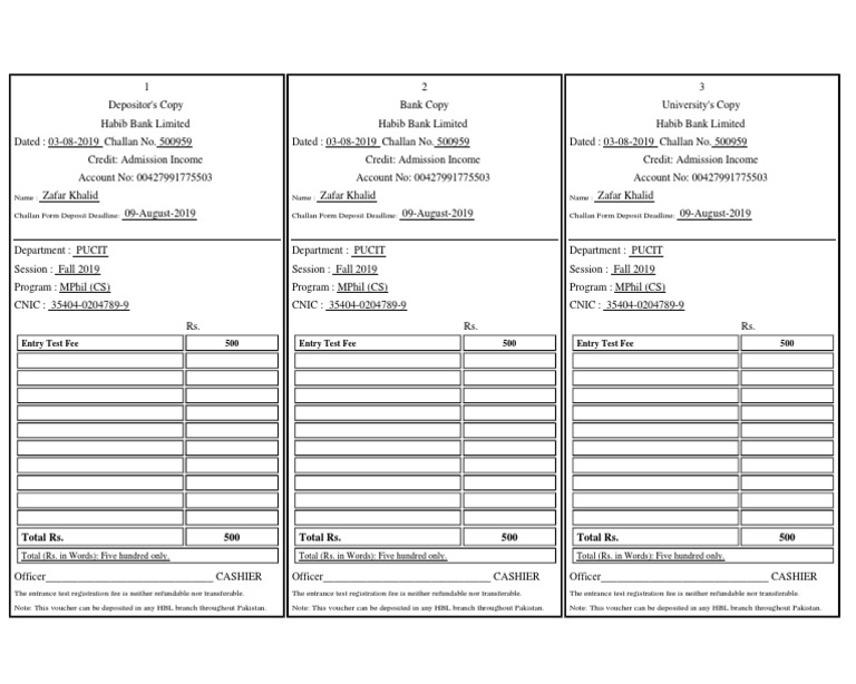PU Challan Form PDF | PDF | Banking | Banks