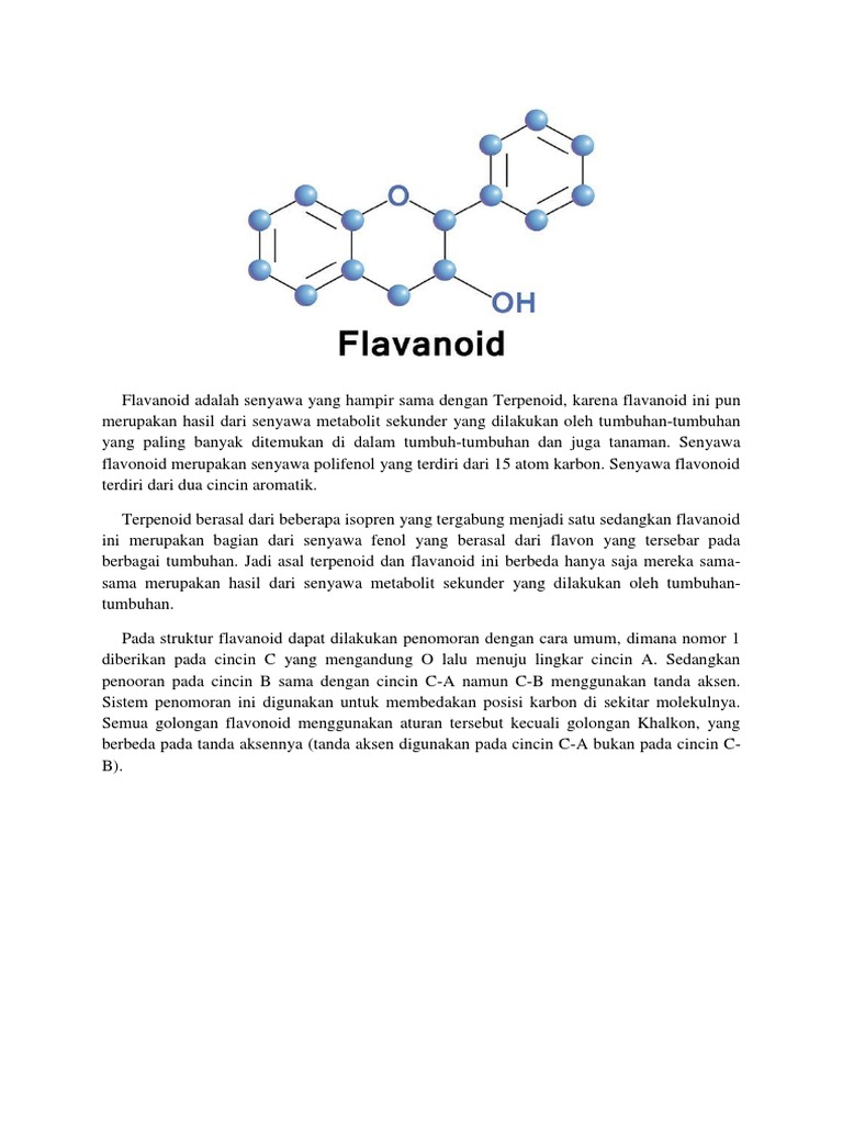 Keragaman Dan Keunikan Struktur Flavonoid | PDF