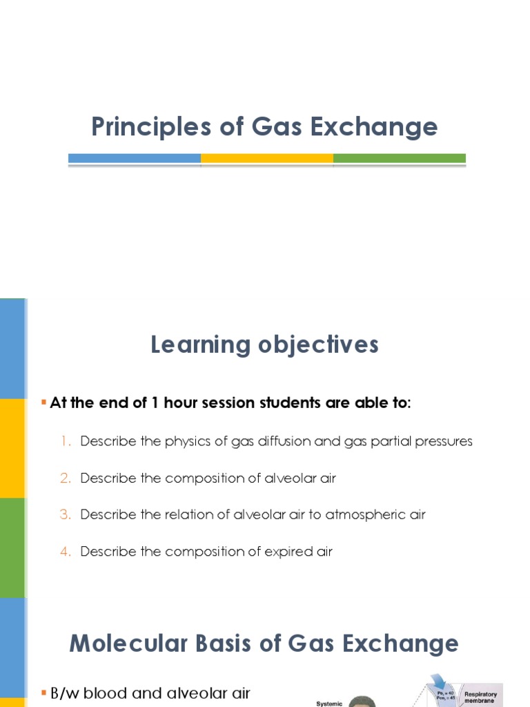 Diffusion of Gases | PDF | Diffusion | Gases