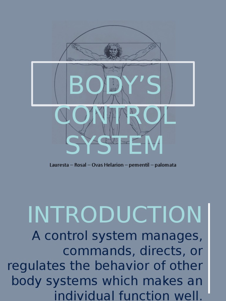 Body Control Systems Explained | PDF | Homeostasis | Nervous System