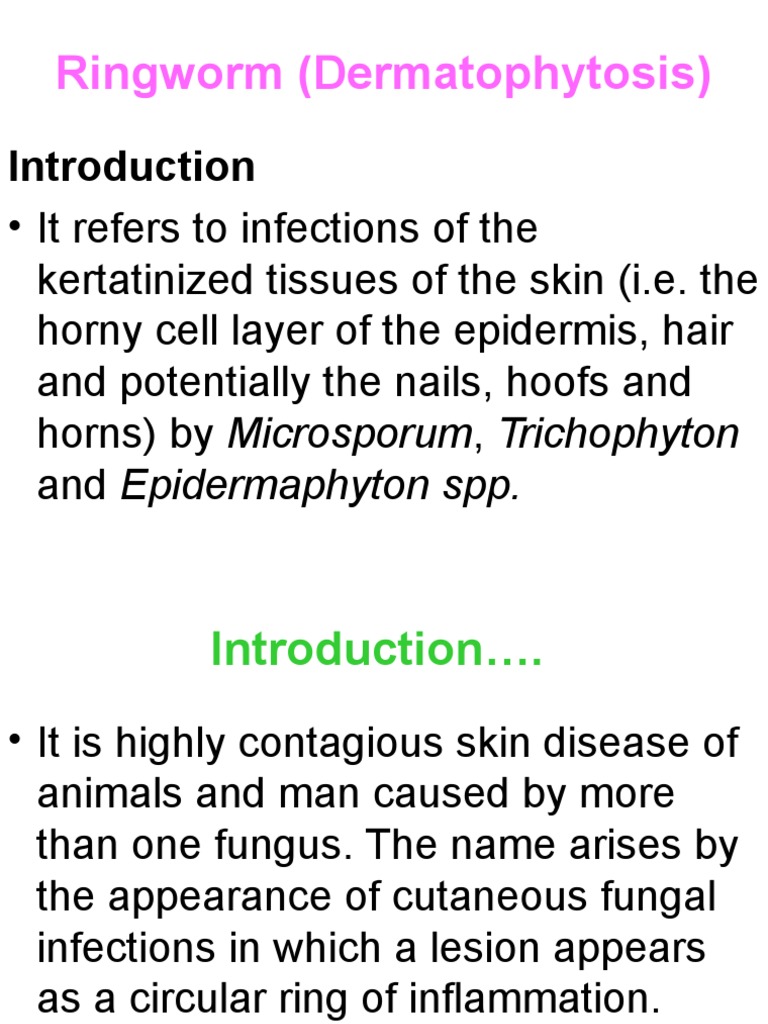 Understanding Ringworm (Dermatophytosis) | PDF | Medicine | Health Sciences