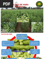 Guía Completa del Cultivo del Alberjón | PDF | Agricultura | Ecología