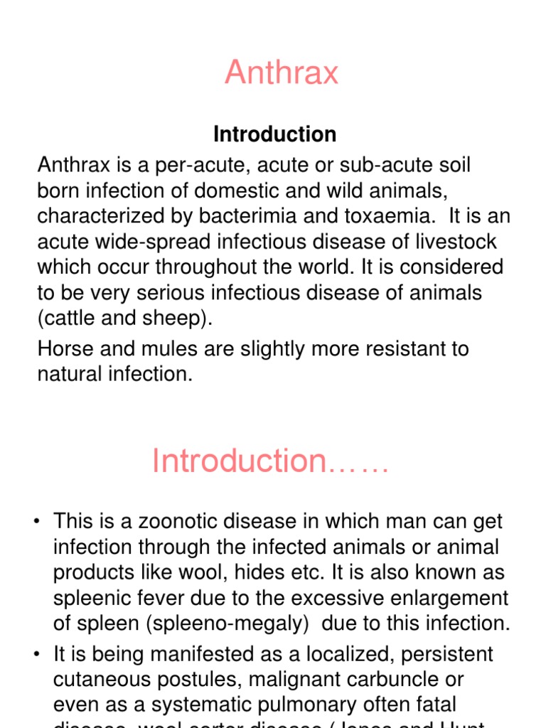 Anthrax | PDF | Anthrax | Lymphatic System