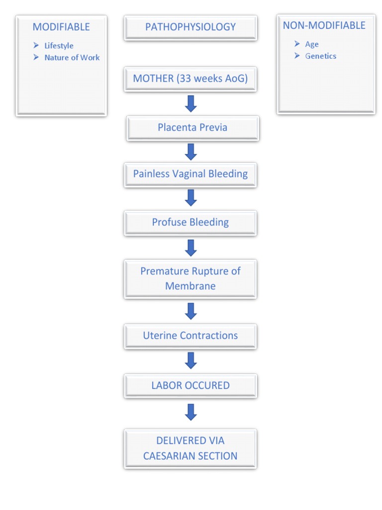 Pathophysiology Modifiable Non-Modifiable: Lifestyle Nature of Work Age ...